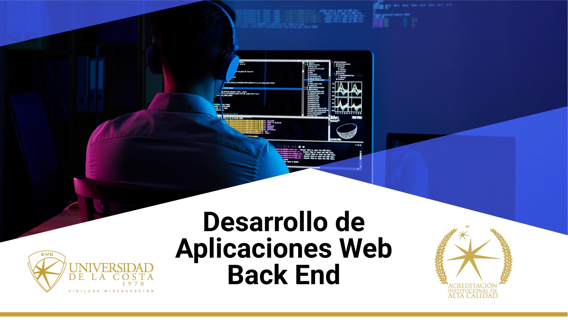 POS_CUC_VIR: Categorías de curso